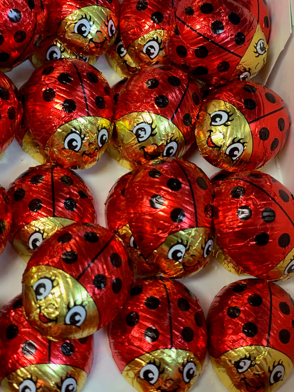 Milk Chocolate Foiled Lady Bug or Bumblebee - Dayton Homemade ...